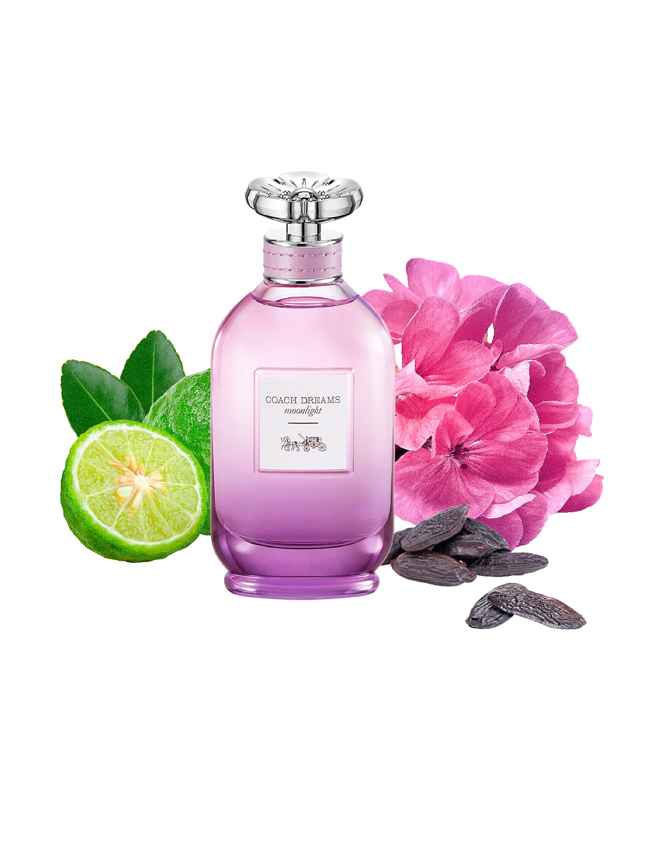 Coach Coach Dreams Moonlight Edp 60ml | David Jones