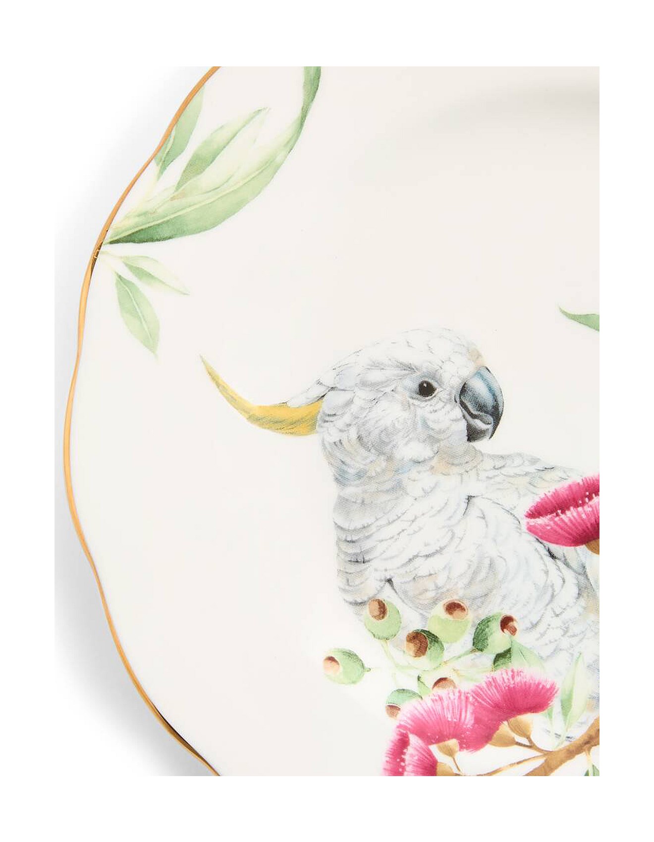 Royal Albert Miranda Kerr Australiana Plate 20cm | David Jones