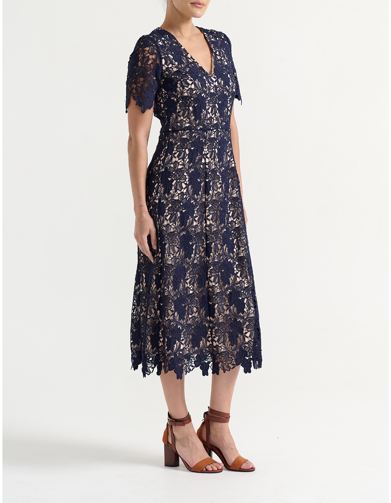 David Jones Collection Flared Lace Dress | David Jones