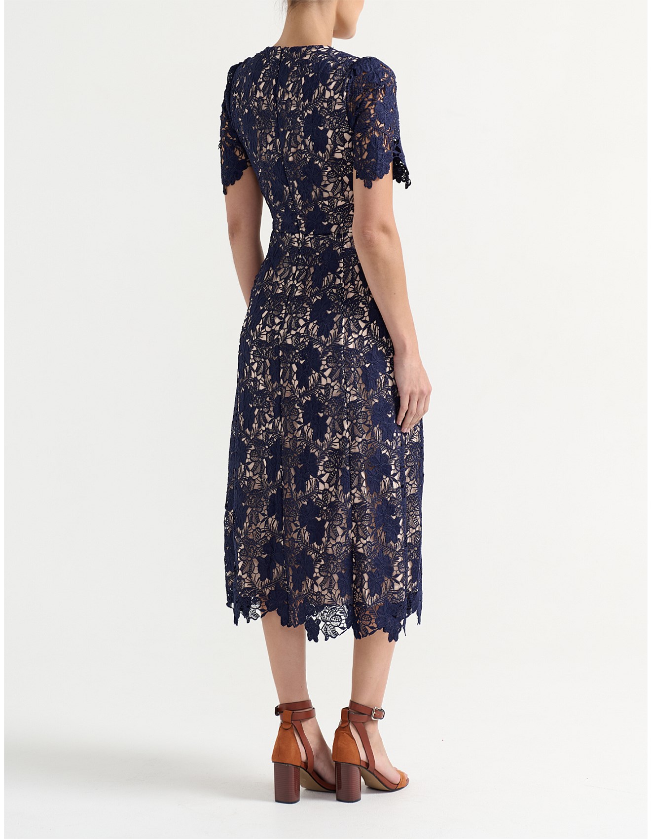 David Jones Collection Flared Lace Dress | David Jones