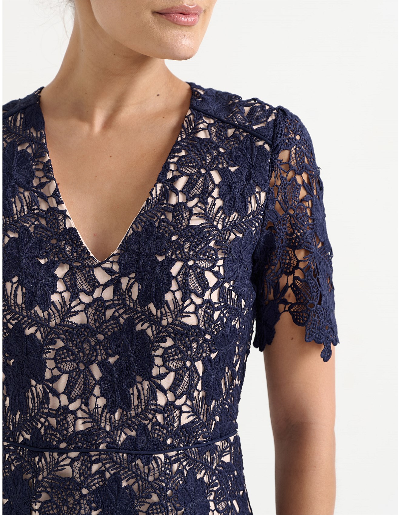 David Jones Collection Flared Lace Dress | David Jones