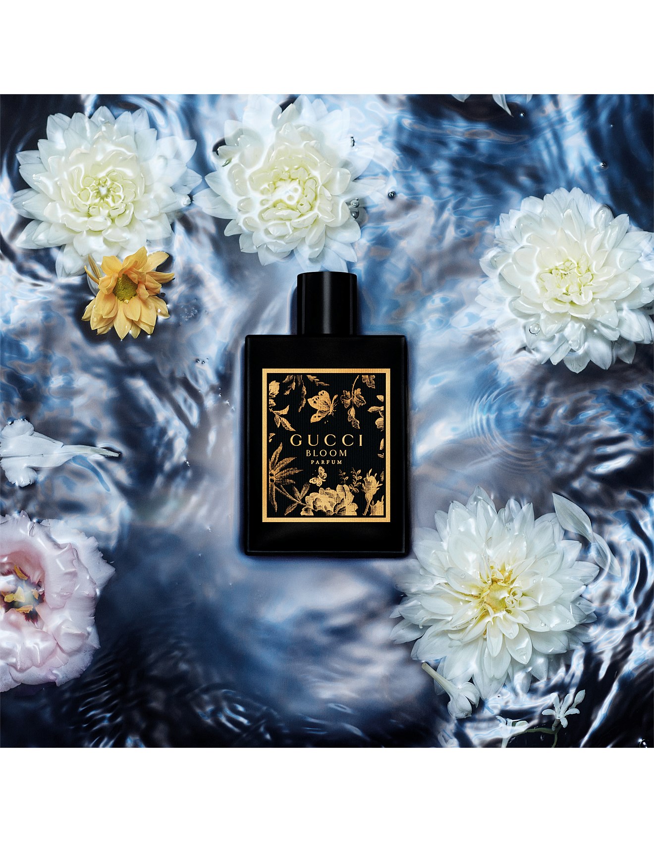 Gucci Gucci Bloom Parfum 30ml | David Jones