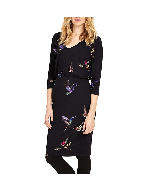 Phase Eight Bianca Bird Print Dress | David Jones