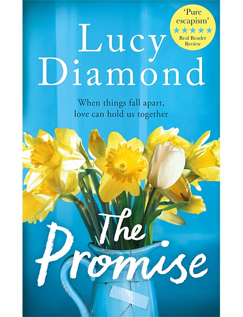 Pan Macmillan the Promise | David Jones