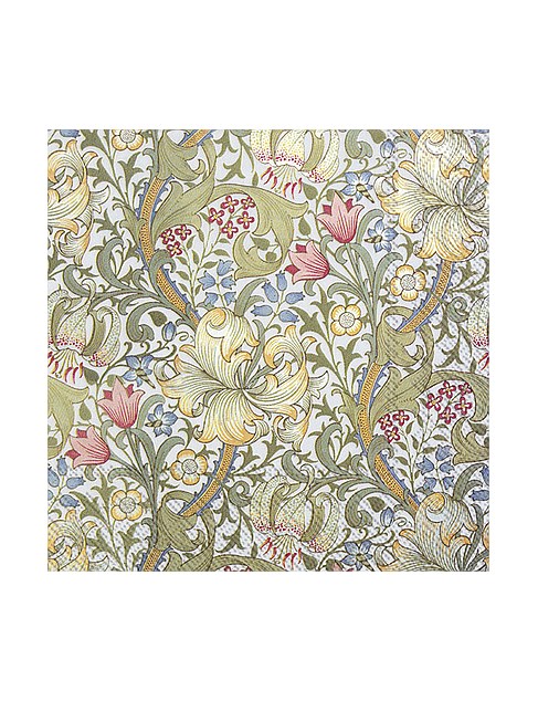 Ideal Home Range V A -Golden Lily White | David Jones