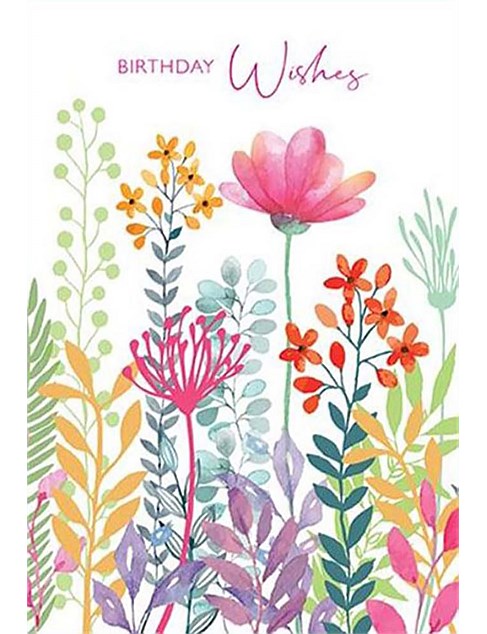 Waterlyn Birthday Wishes | David Jones