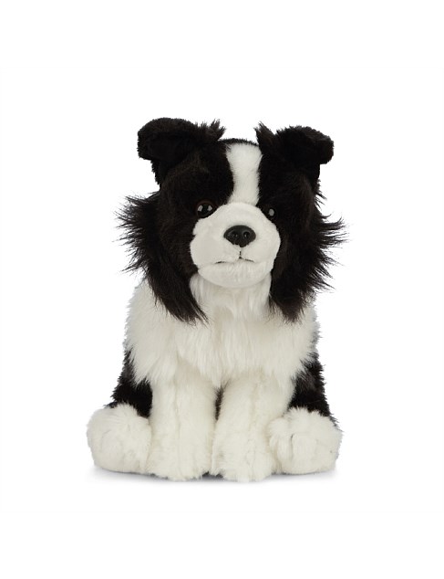 Living Nature Border Collie | David Jones