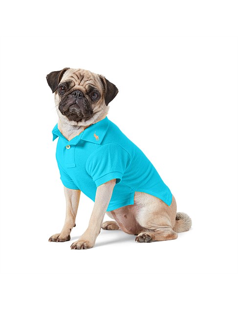 Polo Ralph Lauren Cotton Mesh Dog Polo Shirt Cove Blue Med | David Jones