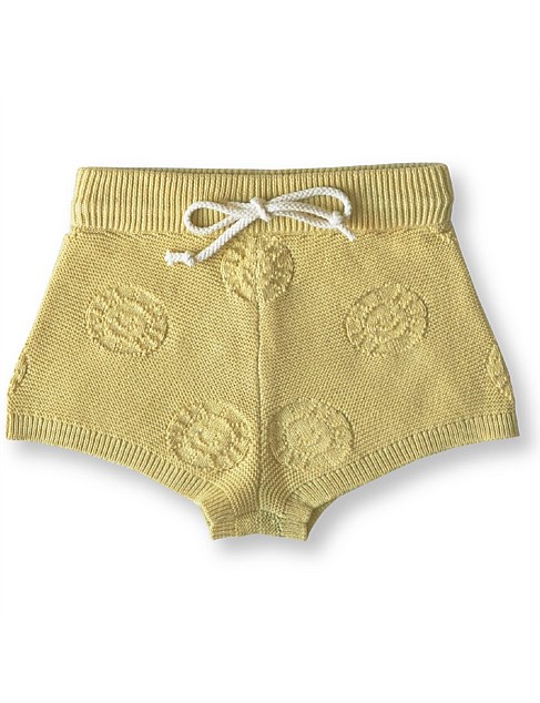 Grown Sunshine Shorts | David Jones