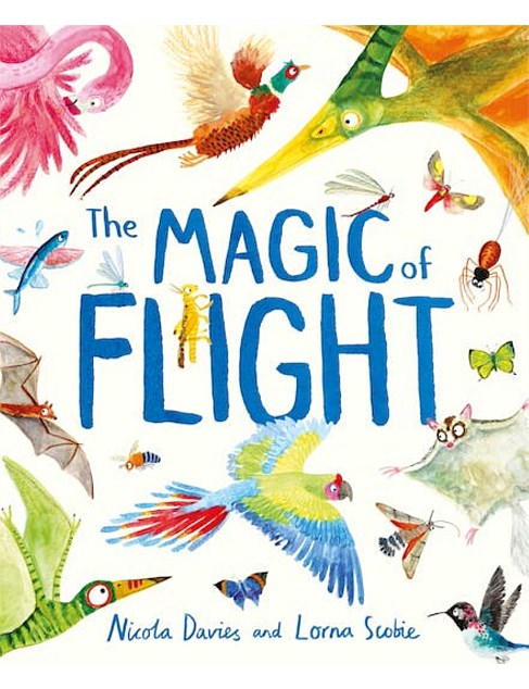 Hachette the Magic Of Flight | David Jones