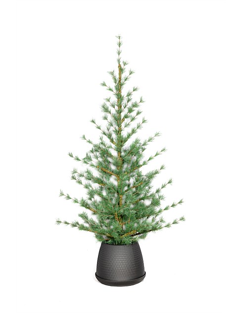 David Jones 150cm Faux Potted Pine Tree | David Jones