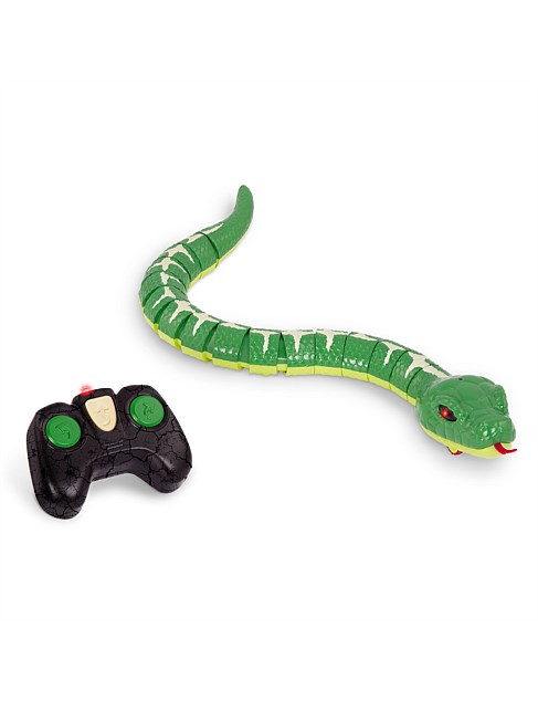 Terra Rc Snake (green) | David Jones