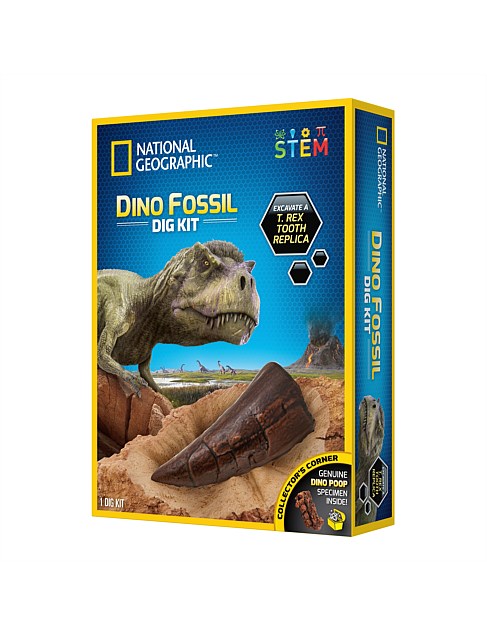 National Geographic Dinosaur Dig Kit | David Jones