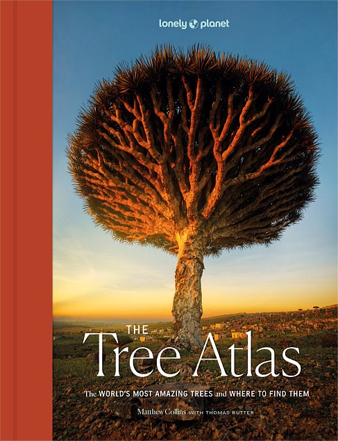 Lonely Planet the Tree Atlas | David Jones