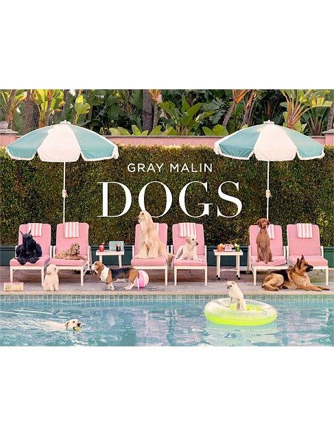Thames and Hudson Gray Malin Dogs By Gray Malin | David Jones