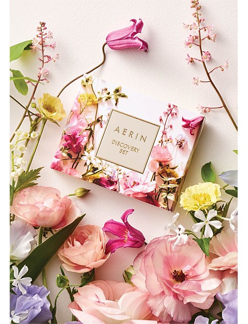 Aerin Aerin Discovery Set | David Jones