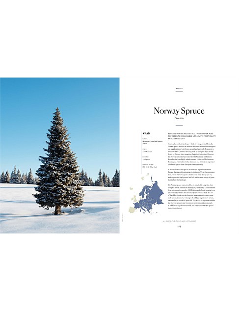 Lonely Planet the Tree Atlas | David Jones