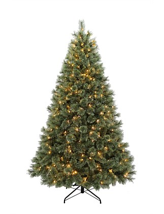 Shop Christmas Trees | David Jones