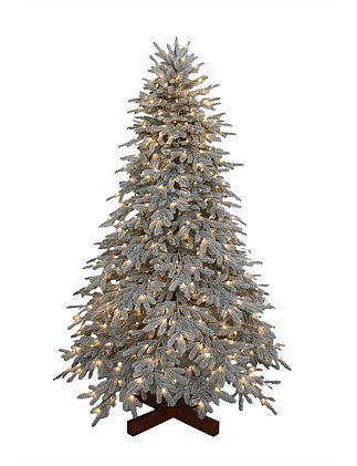 Shop Christmas Trees | David Jones
