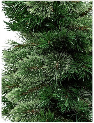 Shop Christmas Trees | David Jones