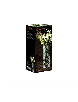 Vases From Dinosaur Designs, Fazeek & More | David Jones